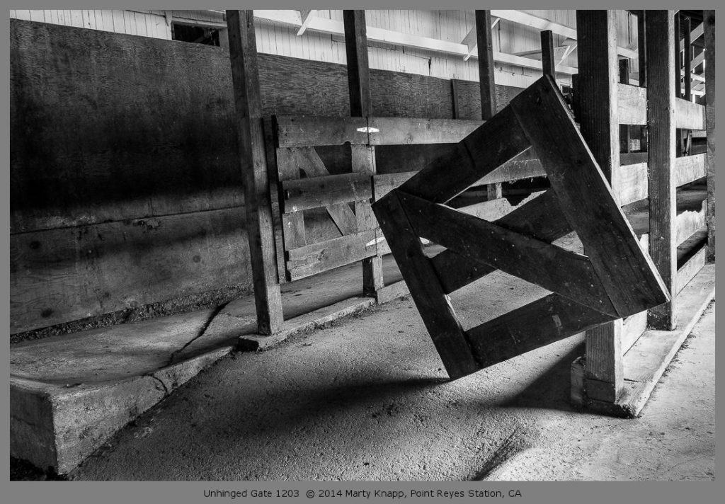 Unhinged Gate 1203 - Marty Knapp