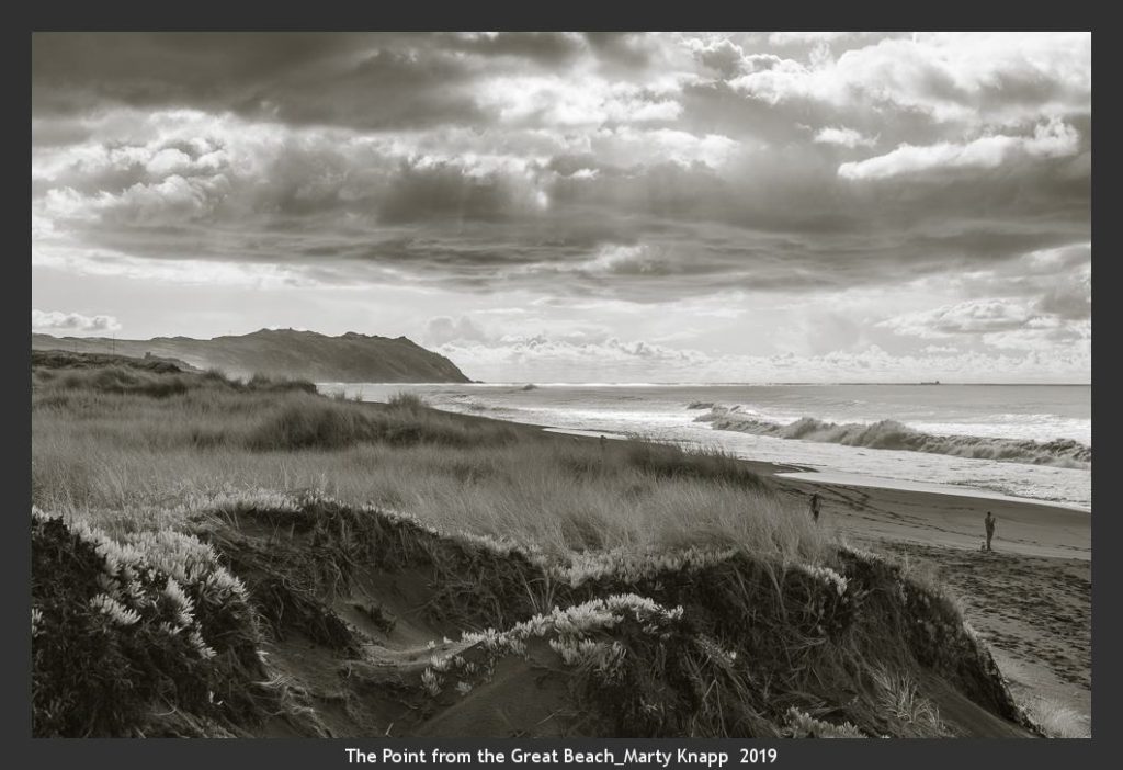 Great Beach & Drakes Bay Archives - Marty Knapp
