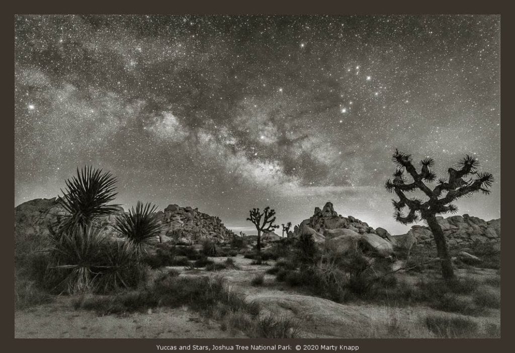 Yuccas and Stars, Joshua Tree NP - Marty Knapp