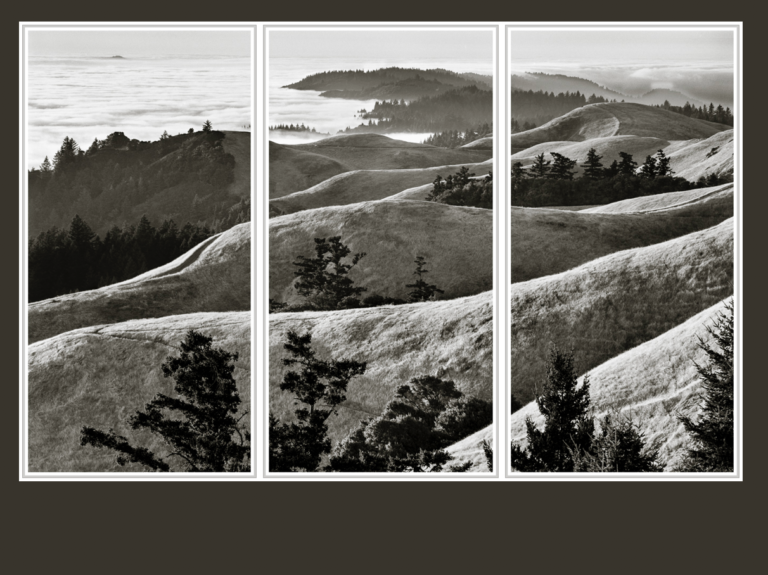 Marty Knapp - Catalog of Fine Art Black and White Photographs