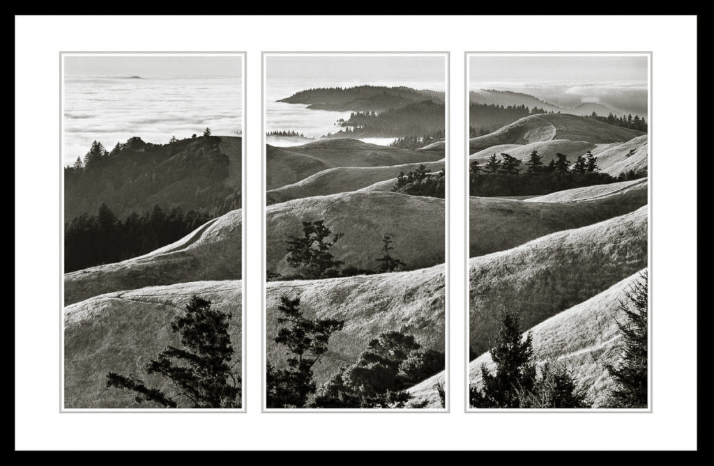 Split Image Triptychs: Seeing More in Divided Images - Marty Knapp
