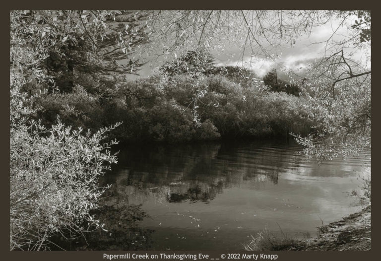 Papermill Creek, Thanksgiving Eve, 2022 - Marty Knapp