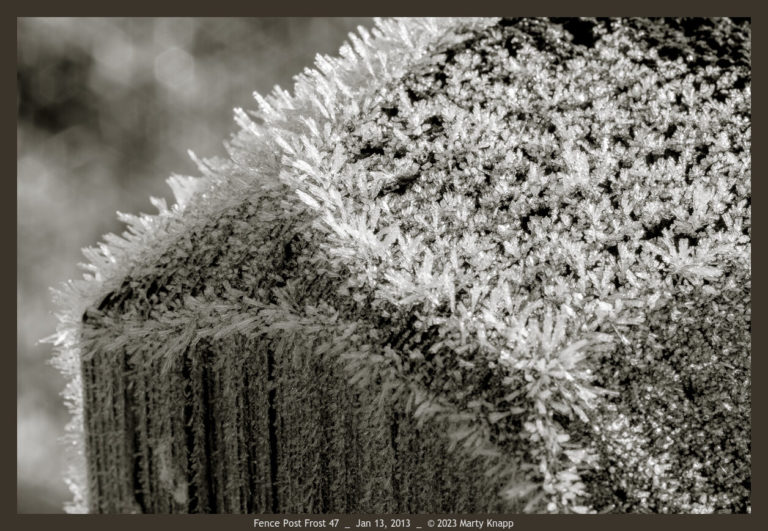 Marty Knapp - Catalog of Fine Art Black and White Photographs