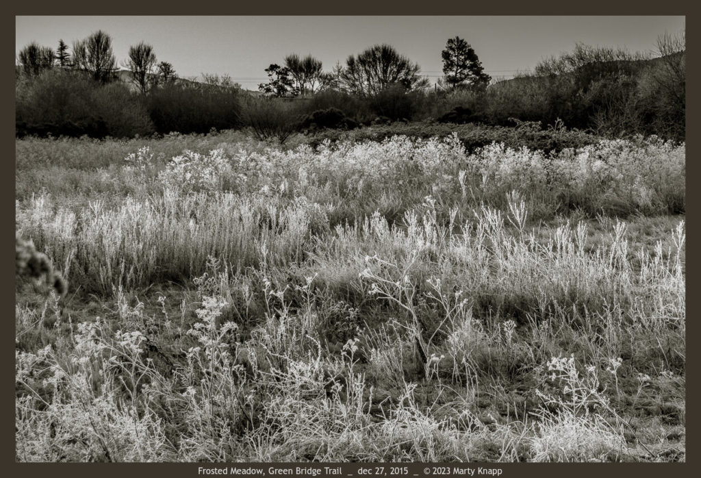 Frozen Path, Greenbridge Trail - Marty Knapp