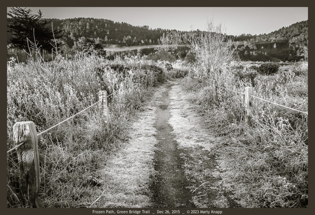 Frozen Path, Greenbridge Trail - Marty Knapp
